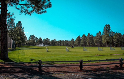 HOME - Pinetop Lakes Golf and Country Club