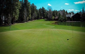HOME - Pinetop Lakes Golf and Country Club
